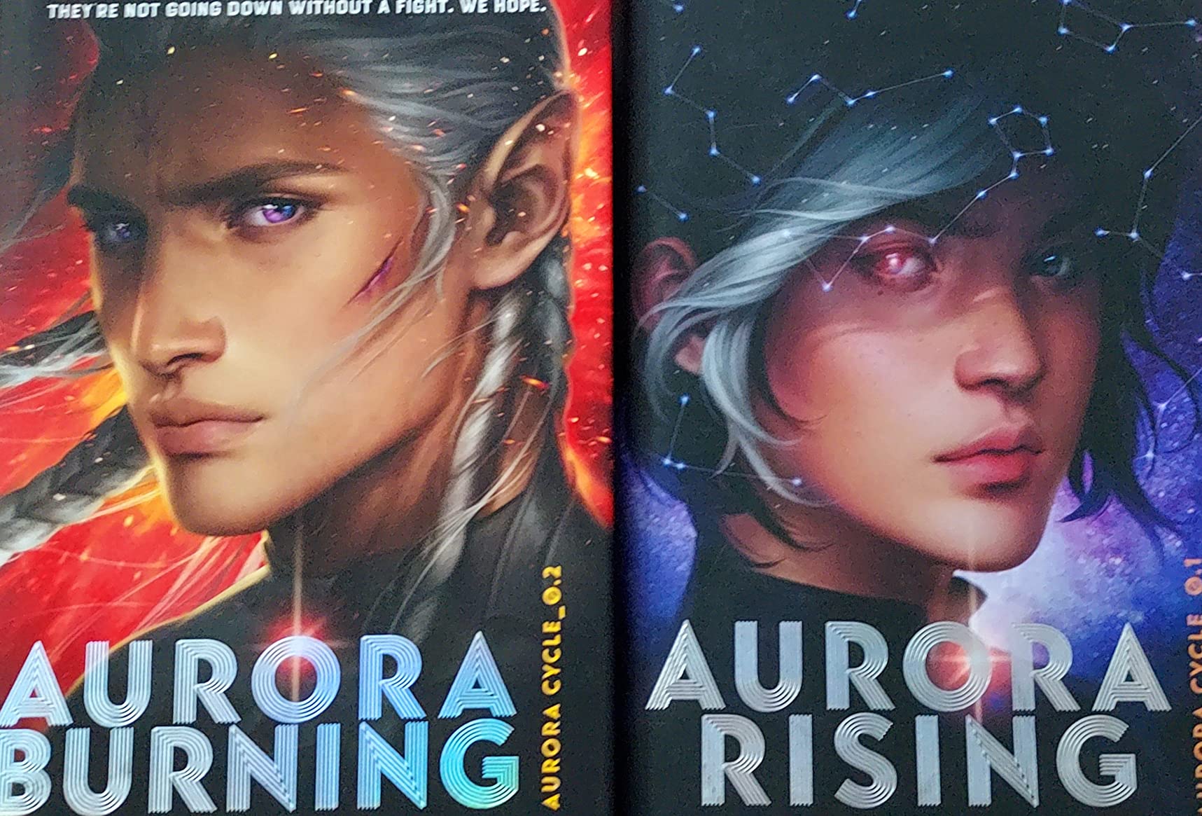 Aurora Burning: 2 (The Aurora Cycle) : Kaufman, Amie, Kristoff, Jay ...