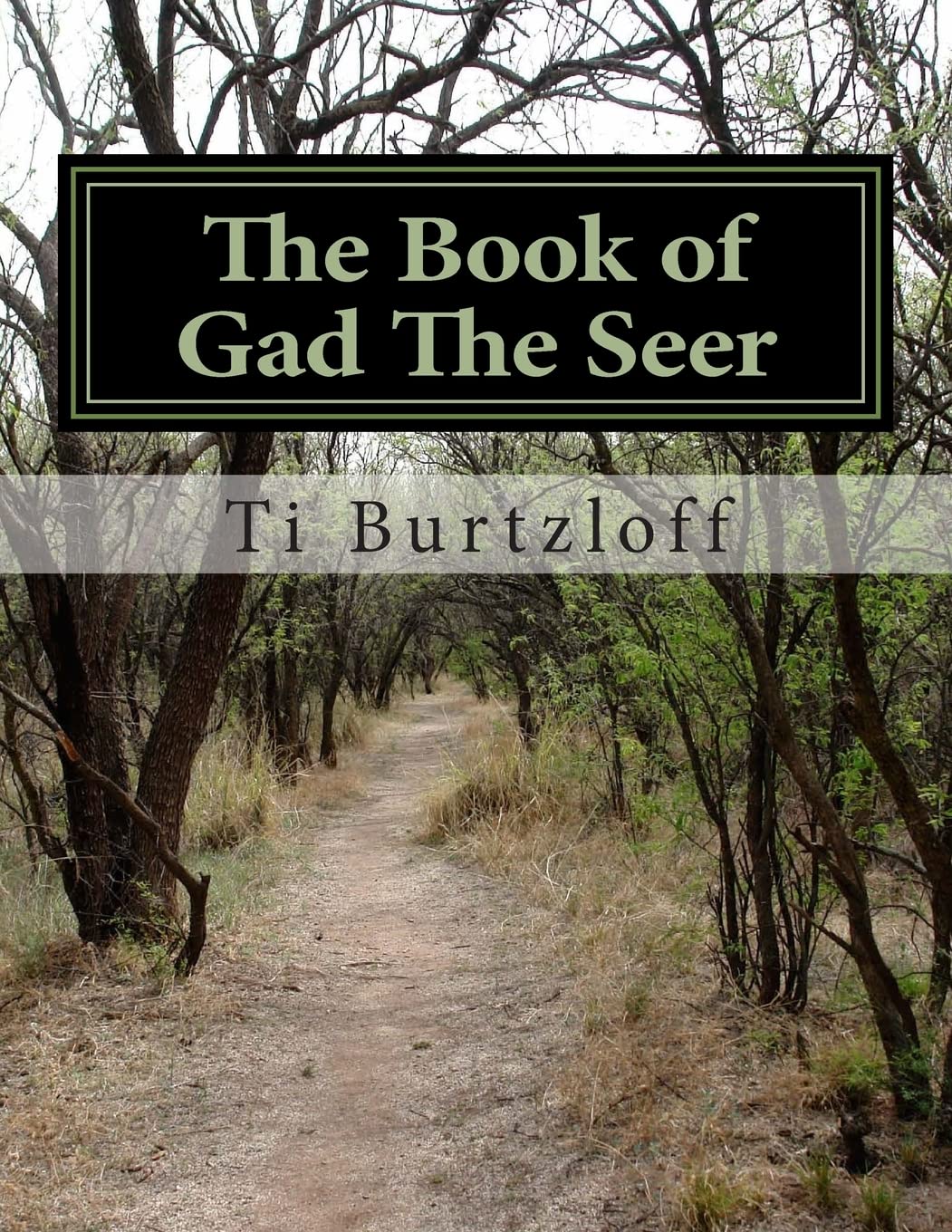 The Book of Gad The Seer: The Book of Gad The Seer as referred to in ...
