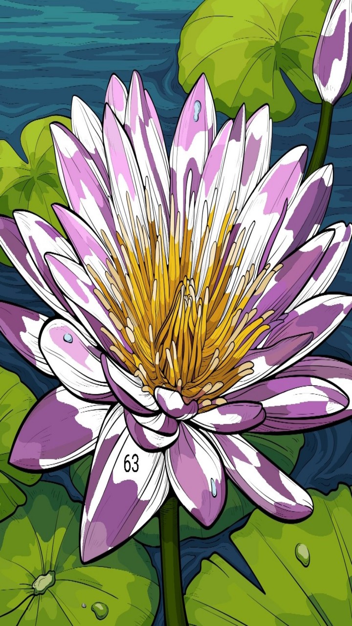 Paintify: Color by Number Fun - App on Amazon Appstore