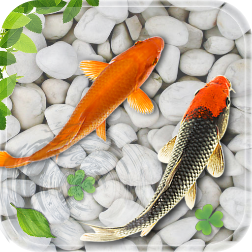 Koi Pond Garden 3d Screensaver Live Wallpaper Hd Youtube Beautiful