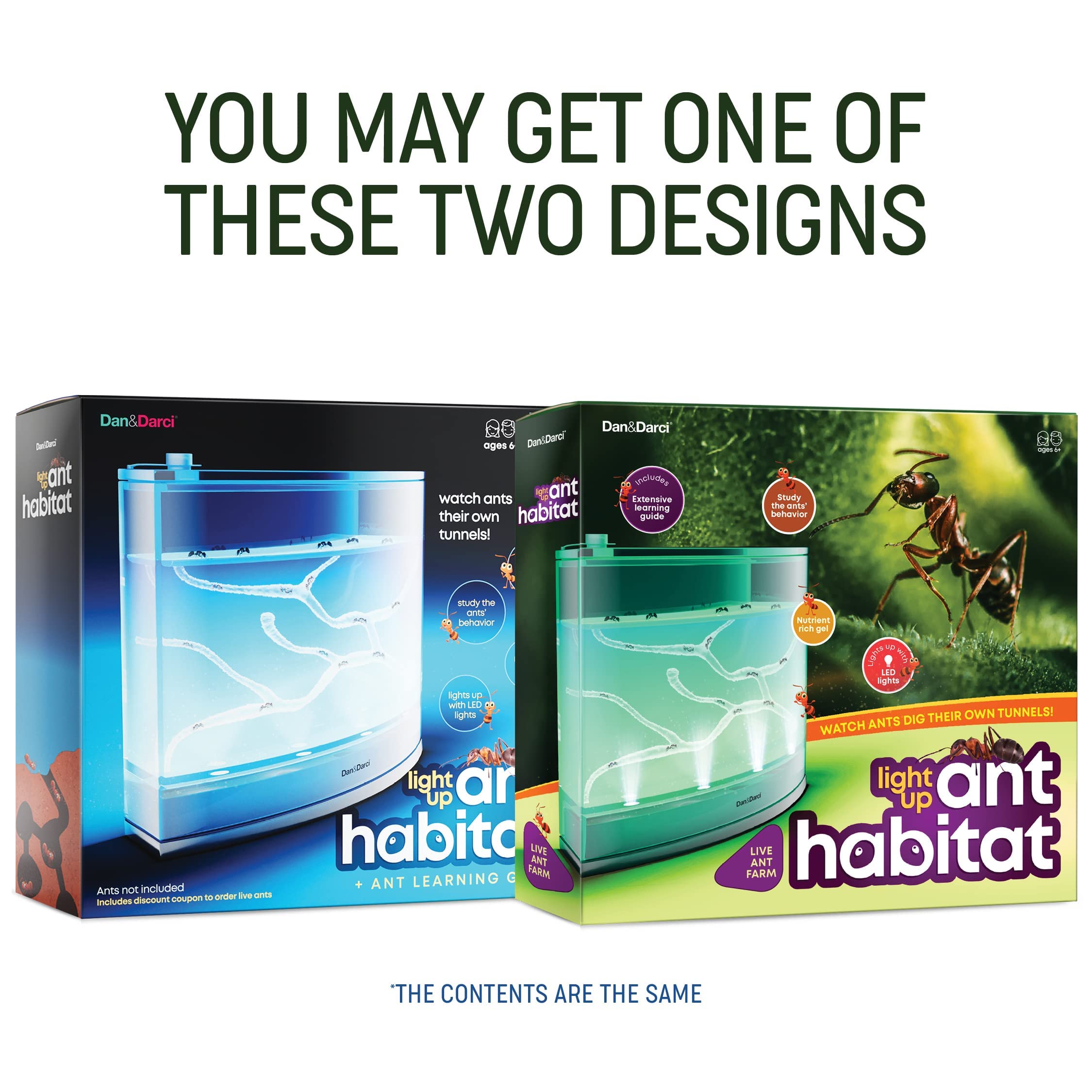 Light-up Ant Farm Terrarium Kit for Kids – LED Ant Habitat for Live ...