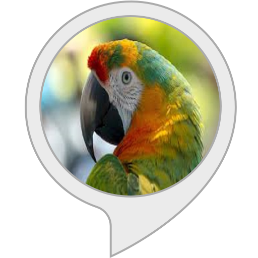 Amazon.in: parrot facts : Alexa Skills
