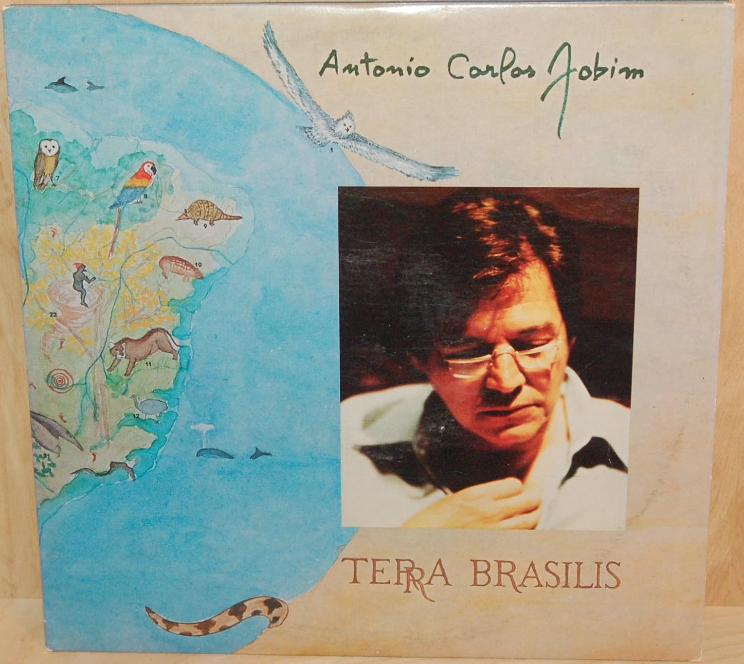 Terra Brasilis: Amazon.com.br: CD e Vinil