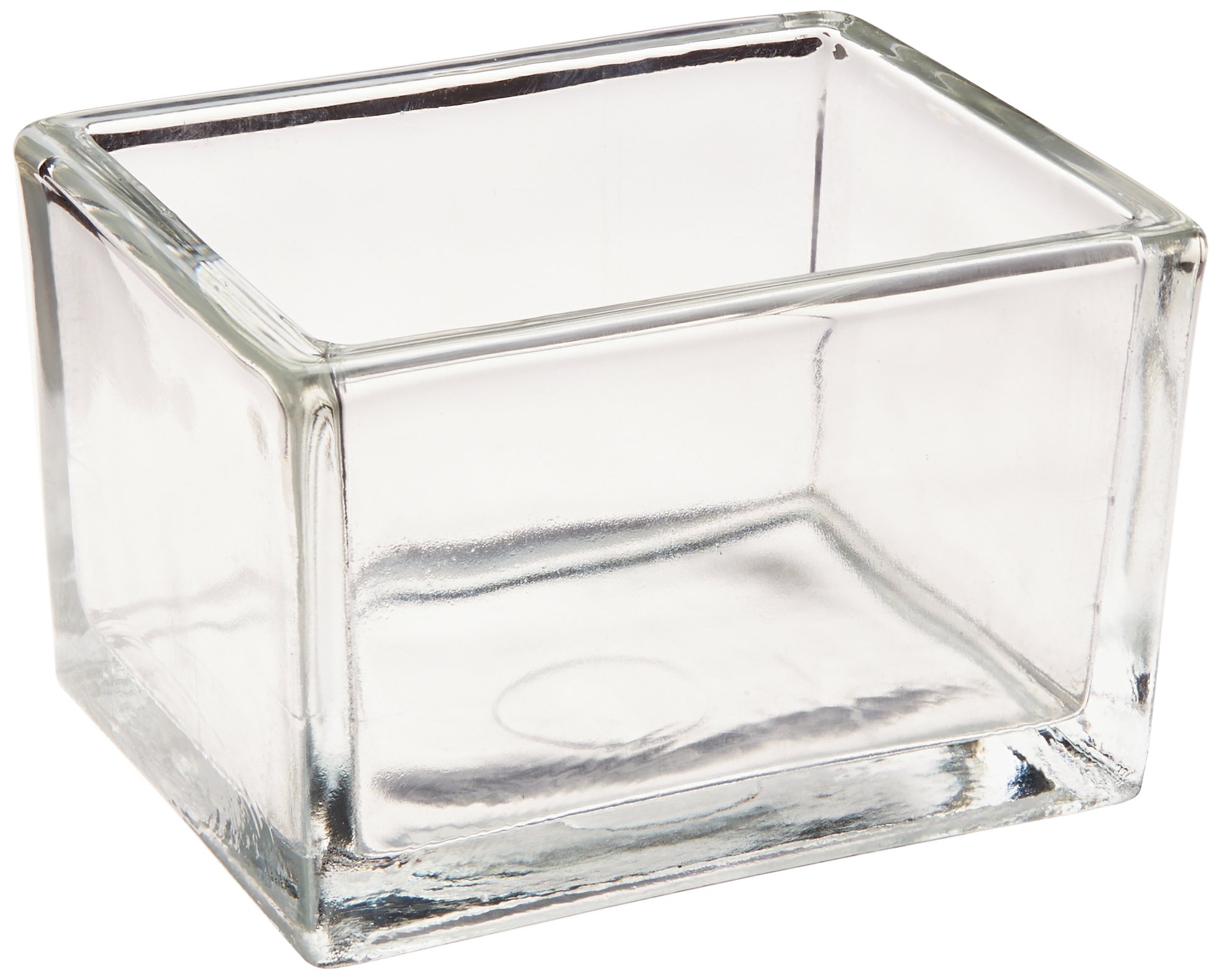 Thermo Scientific Richard Allan Scientific 102 Glass Staining Dish ...