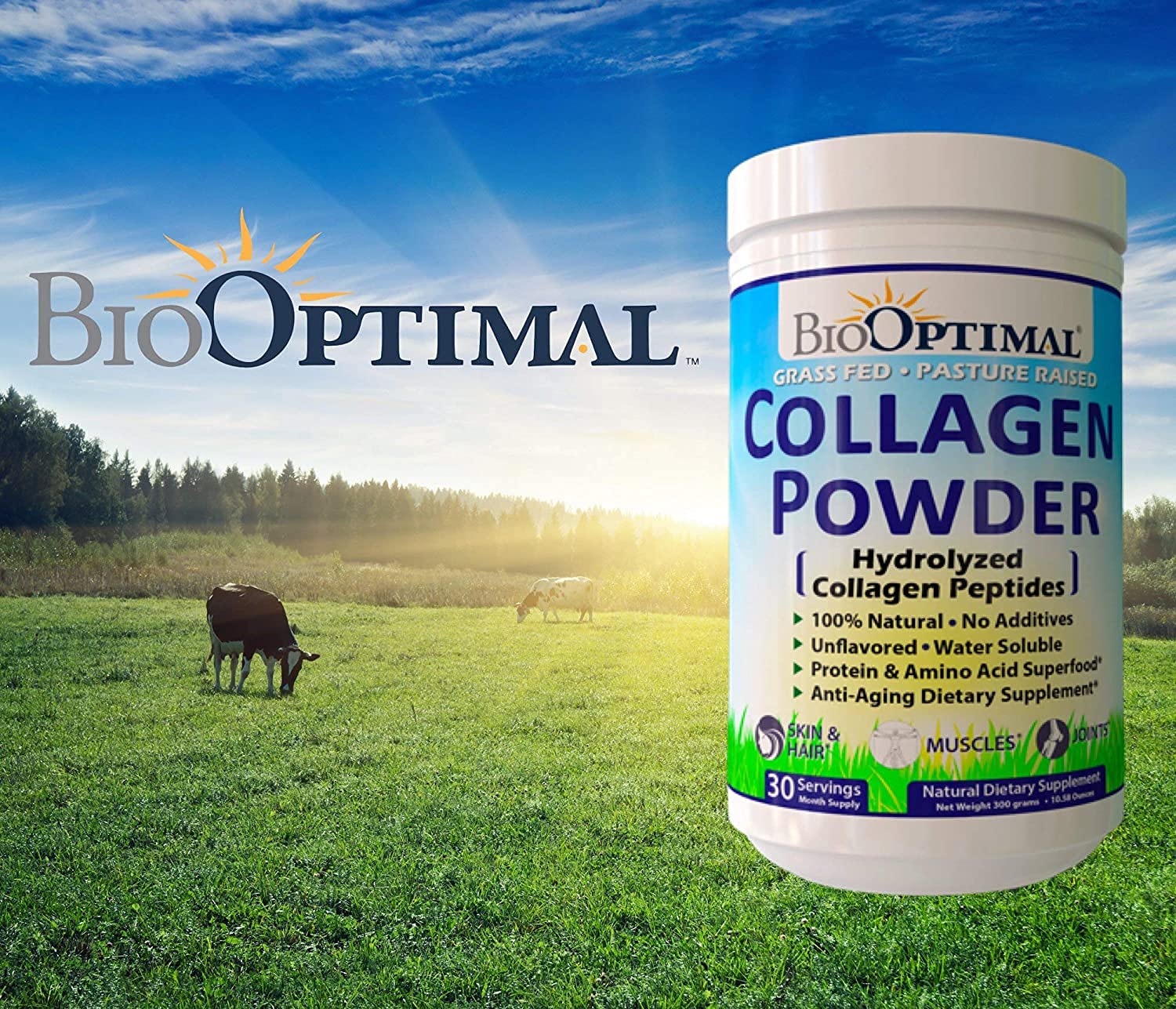 BioOptimal Collagen Powder, Collagen Peptides, Grass F...B01LVZ7N8G ...