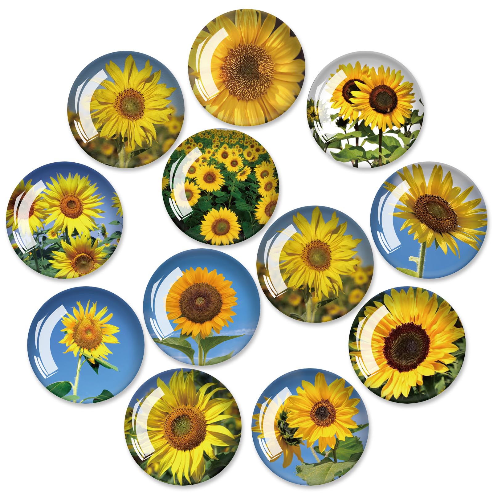 Amazon.com: 12Pcs Glass Strong Magnetic Refrigerator Magnet Fridge ...