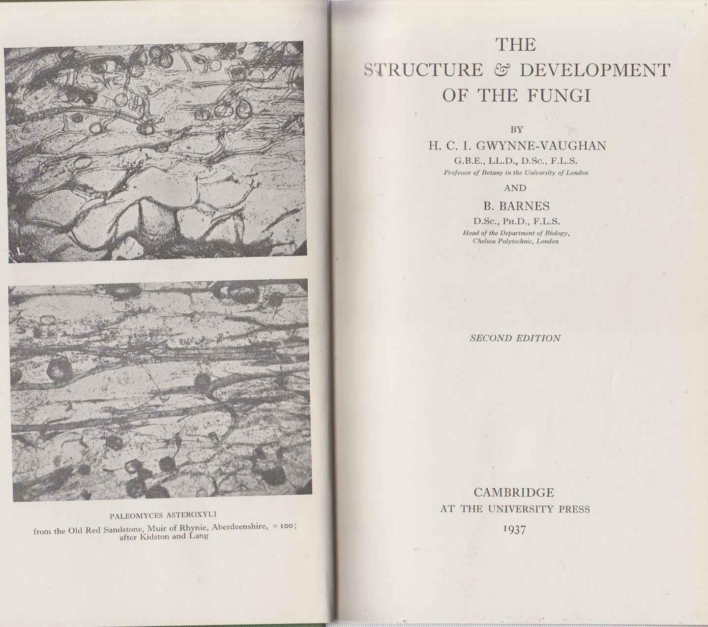 Amazon.com: Structure and Development of Fungi: 9780521051613: Gwynne ...