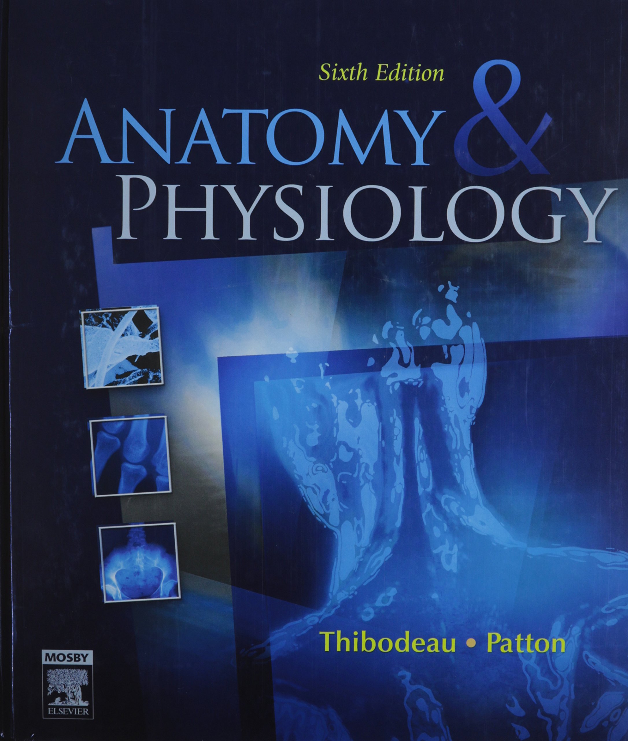 ANATOMY & PHYSIOLOGY : Sixth Edition: Gary A. Thibodeau, Kevin T ...