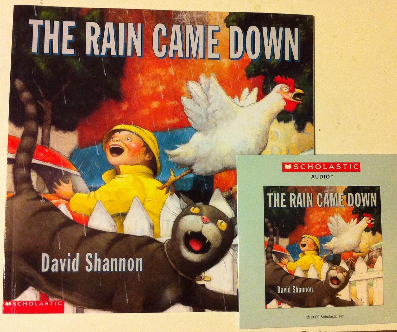 Amazon.com: The Rain Came Down: David Shannon: Everything Else