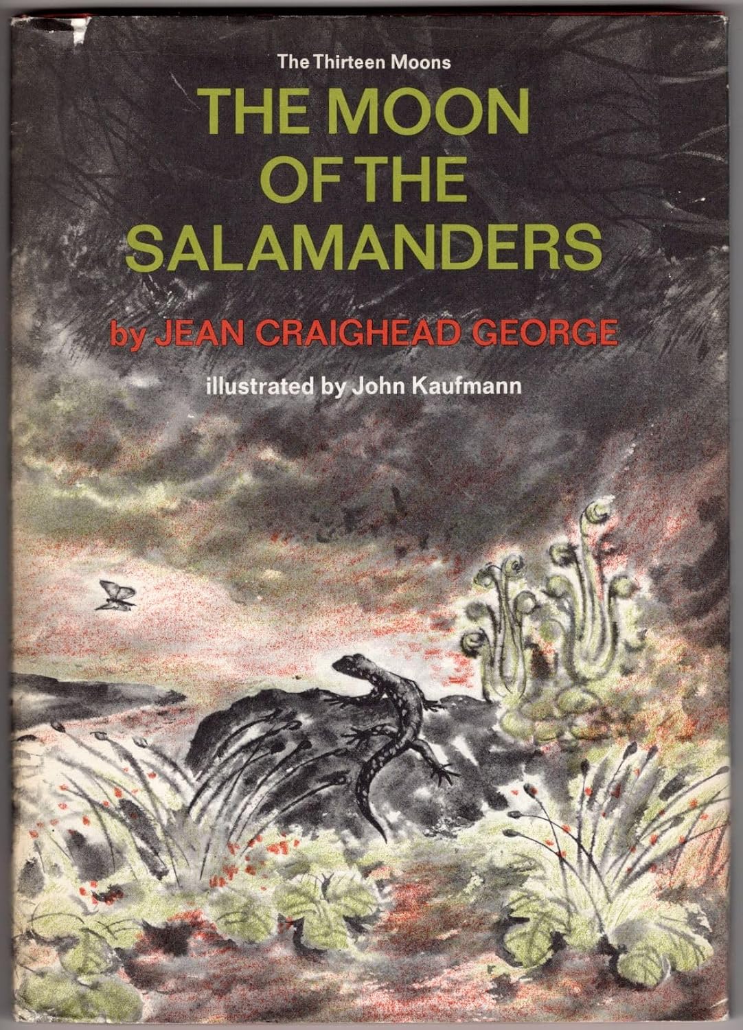 the moon of the salamanders [ Thirteen Moons series] : Amazon.co.uk ...