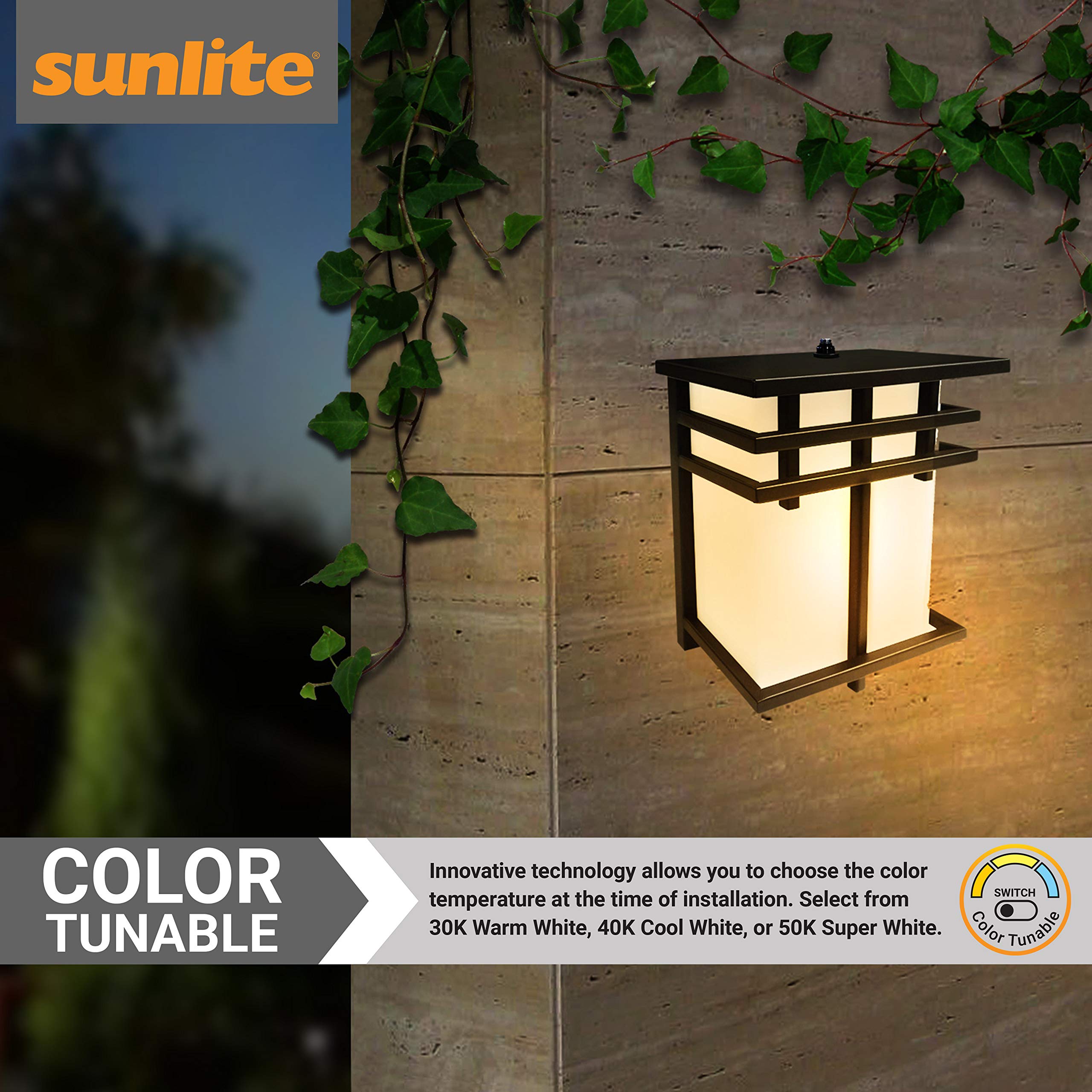Sunlite 1-Light Black Half Octagon LED Outdoor Wall Light, 55% OFF