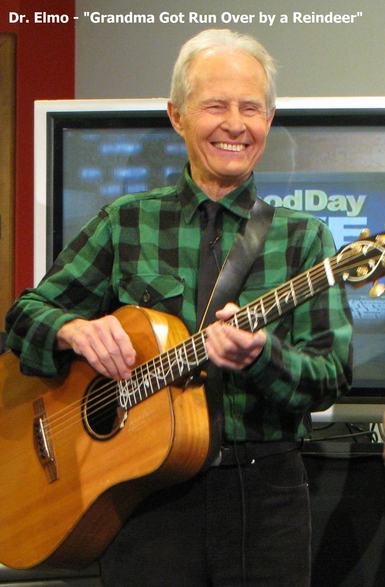 Grandma's Killer Fruitcake song by Dr. Elmo from Grandma Got Run Over ...