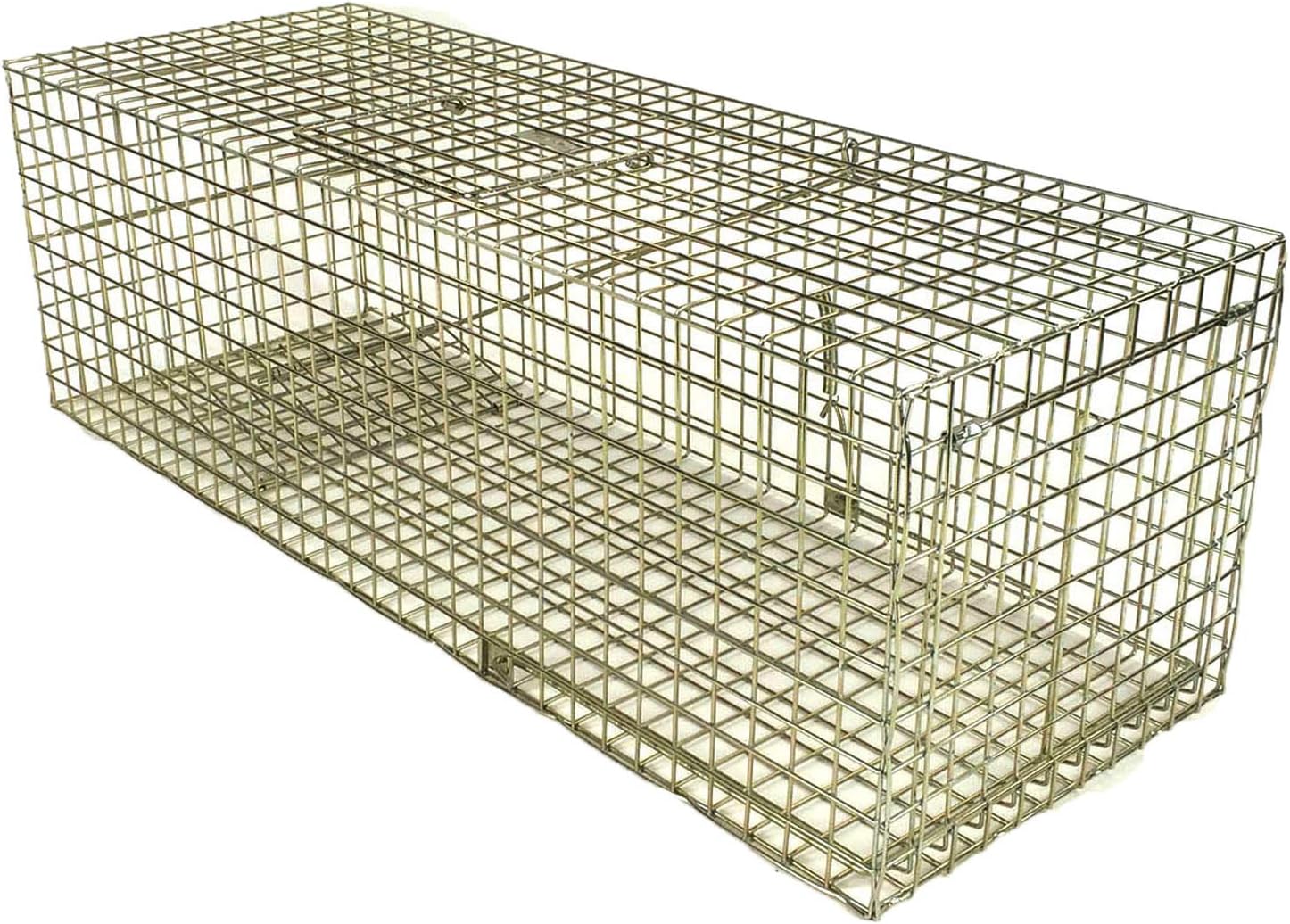 TrapMan Rabbit trap, standard rabbit trap, humane & effective rabbit ...