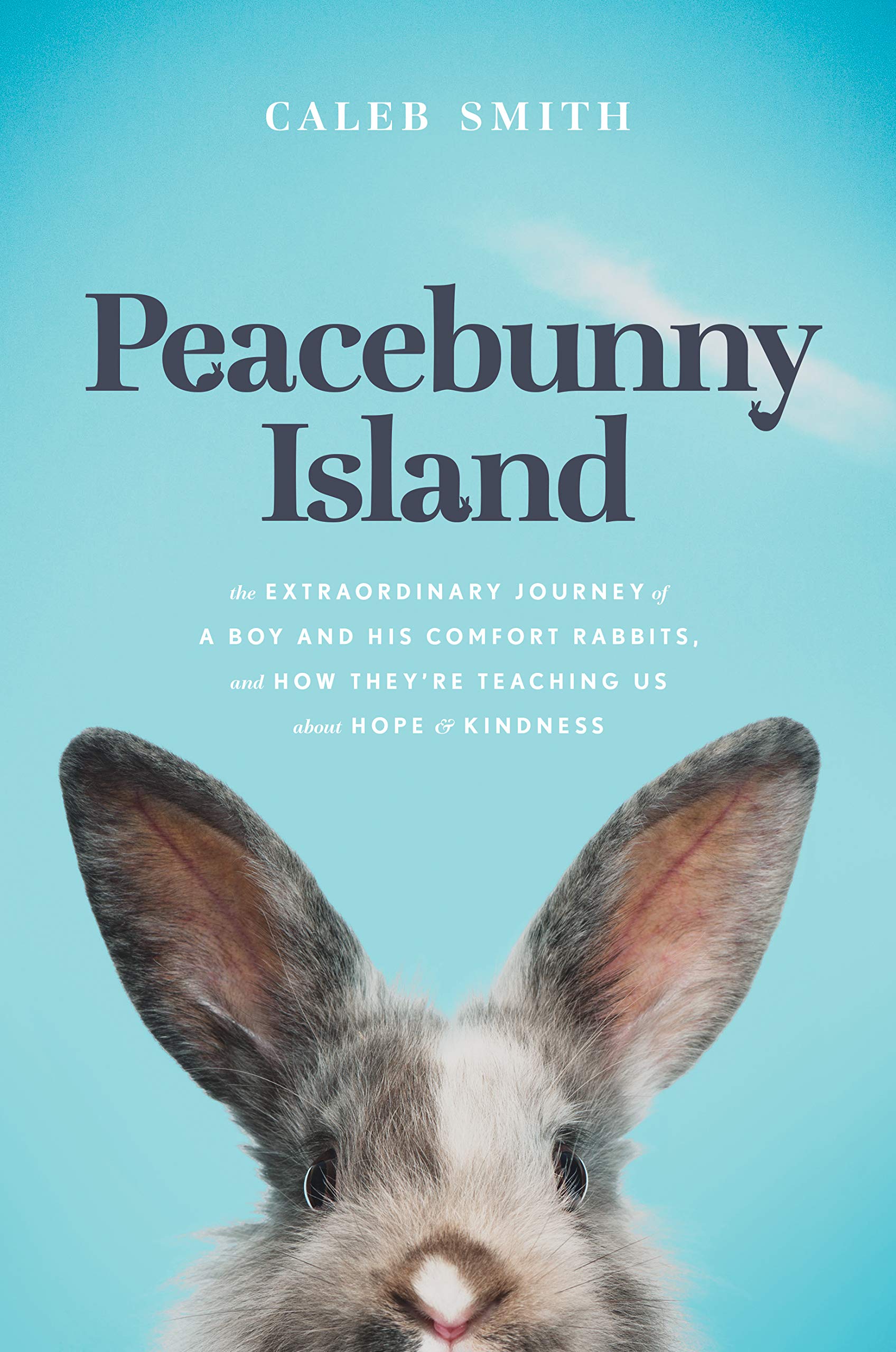 Peacebunny Island: The Extraordinary Journey of a Boy and His Comfort ...