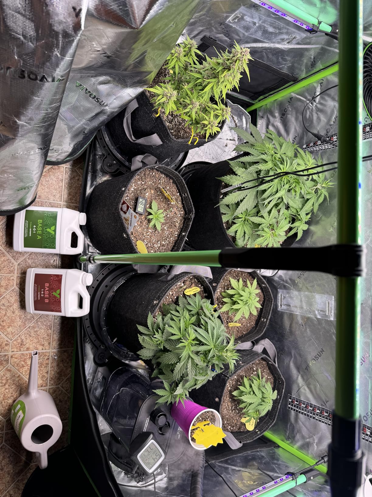 Amazon.com : VIVOSUN Plant Food Nutrients Base A(4-0-1) & B(1-4-2 ...