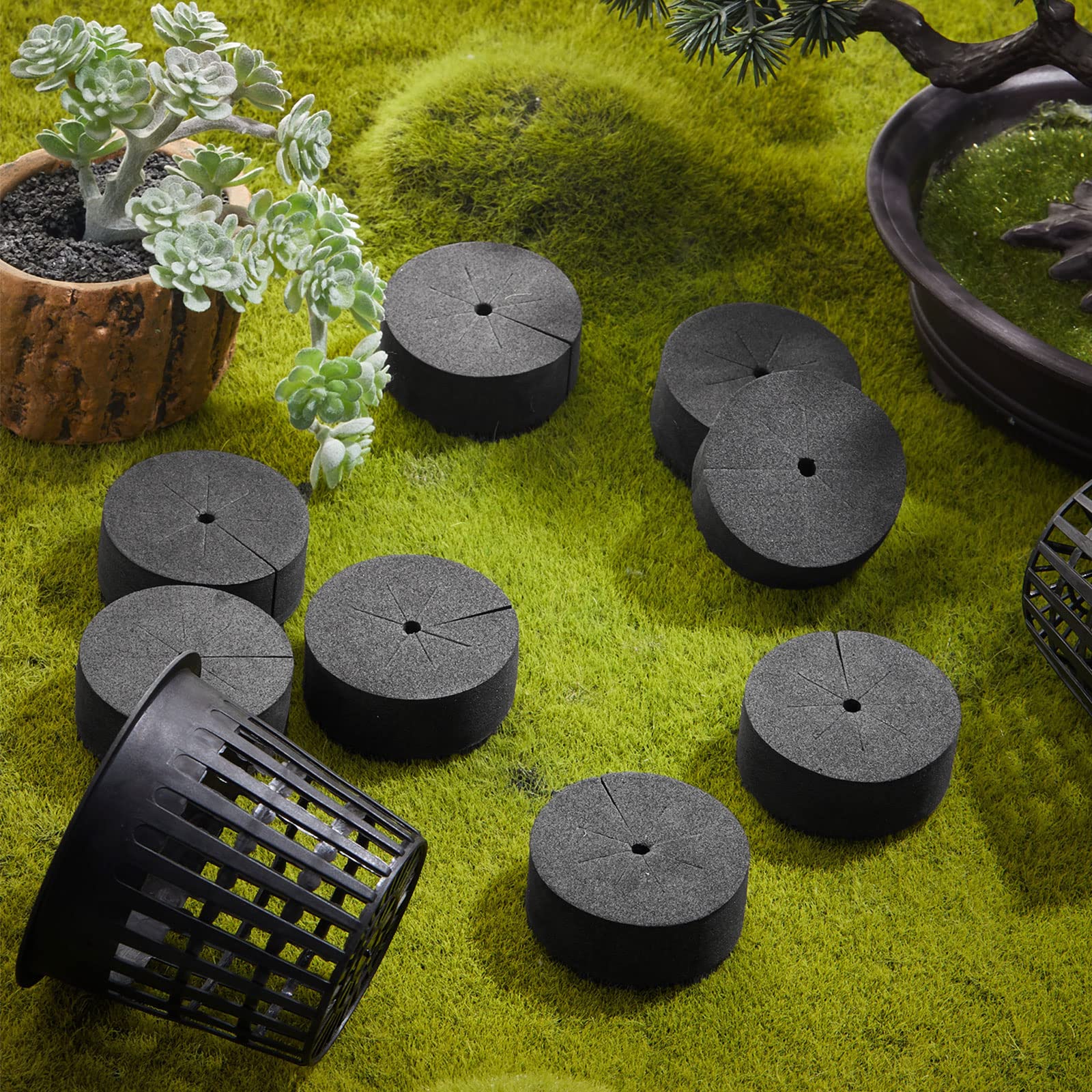 Snapklik.com : Lallisa 360 Pcs Clone Collars 2 Inch Foam Inserts For ...