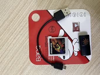 Ace3ds X with 32GB TF Card for 3DS /2DS/DSi/DS Lite/DS to Play NDS ...