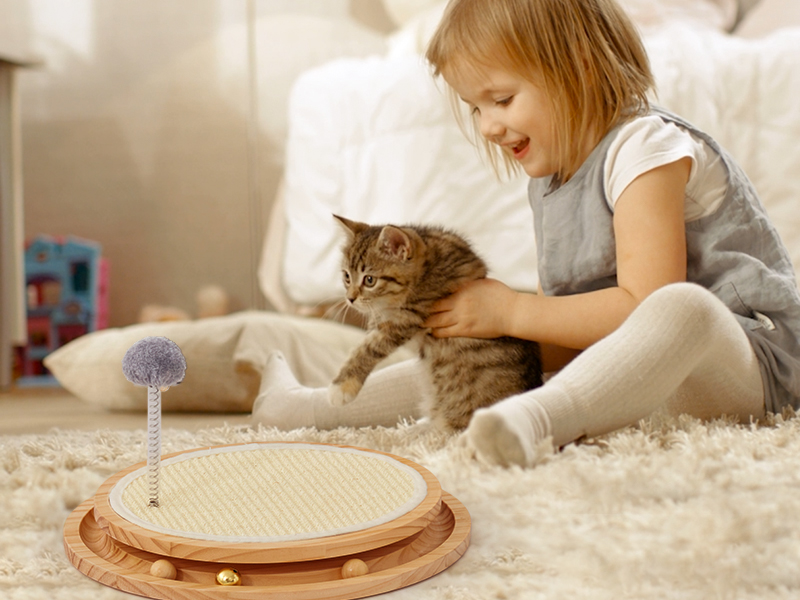 Cat Ball Track LYCTDD Toy With Scratching Board - Interactive Play For ...