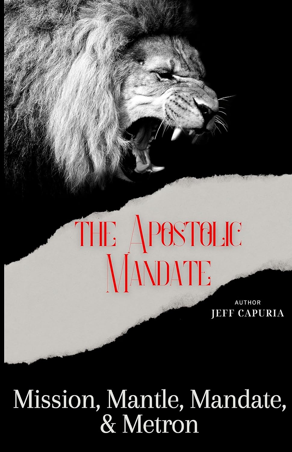 The Apostolic Mandate: Mission, Mantle, Mandate, and Metron - Kindle ...