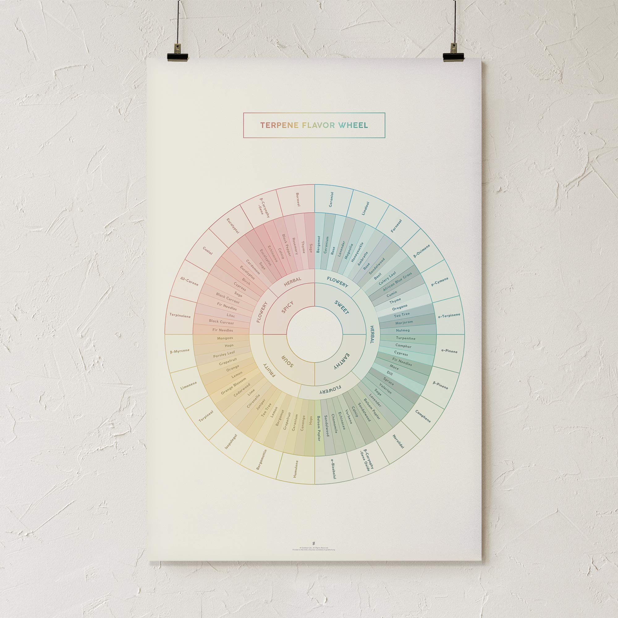 Buy Goldleaf Terpene Flavor Wheel Art Print, Minimalist Terpenes ...