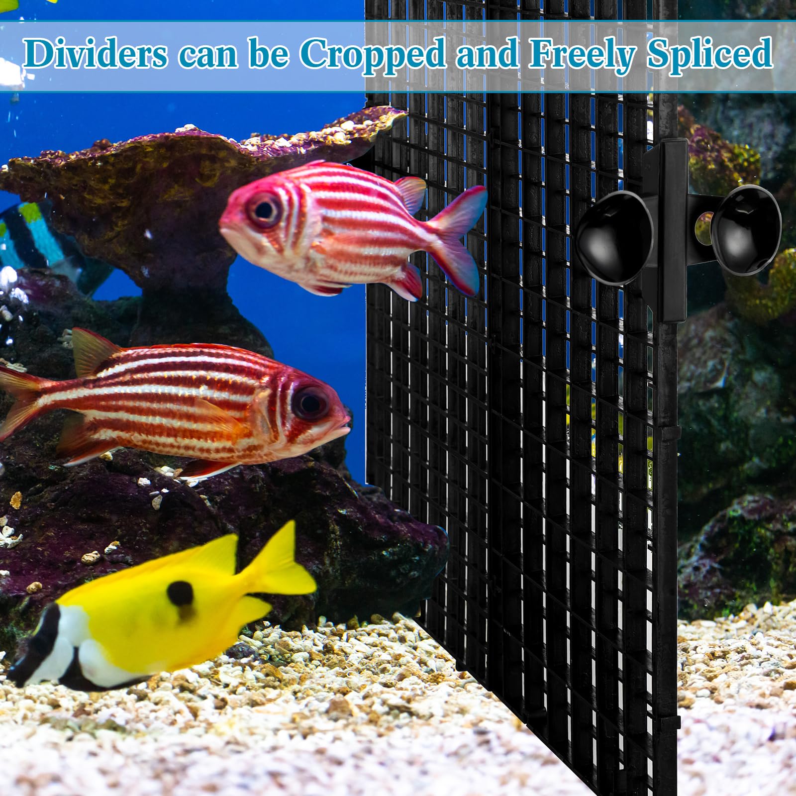 Snapklik.com : Zeyune 6 Pcs Fish Tank Divider Aquarium Separator Light ...