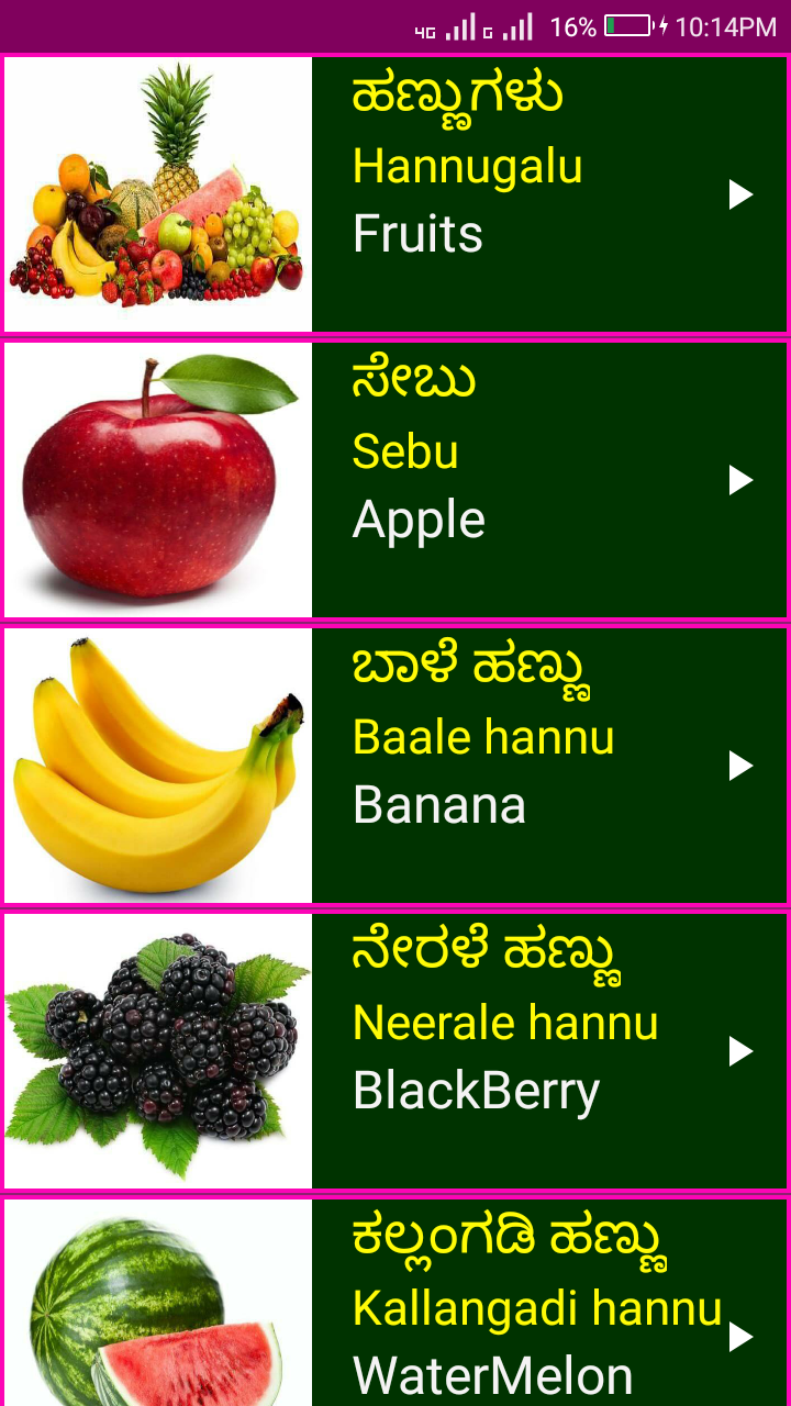 Learn Kannada From English - Application sur Amazon Appstore