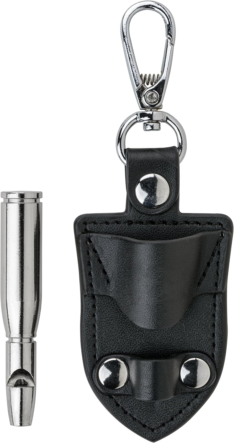 Amazon.com : BeAPet Ultrasonic Dog Training Whistle – Stainless Steel ...