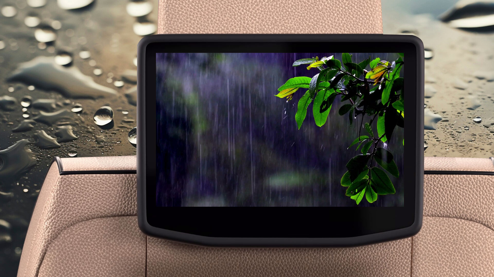 Calm Nights - Sleep Aid with Soothing Rain and Thunder Sounds for Fire ...