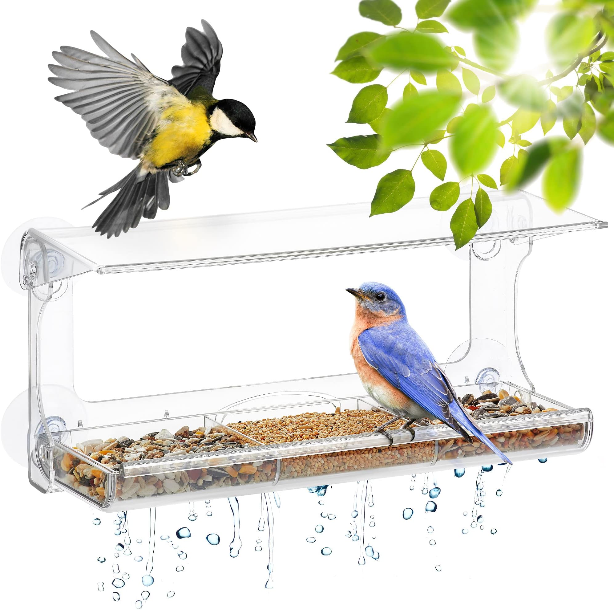 Amazon.com : Window Bird Feeder Suction Cup - 8 Packs Window Garden ...