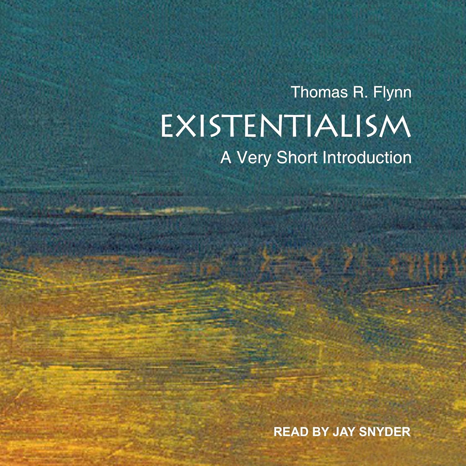 Amazon.com: Existentialism: A Very Short Introduction (Audible Audio ...