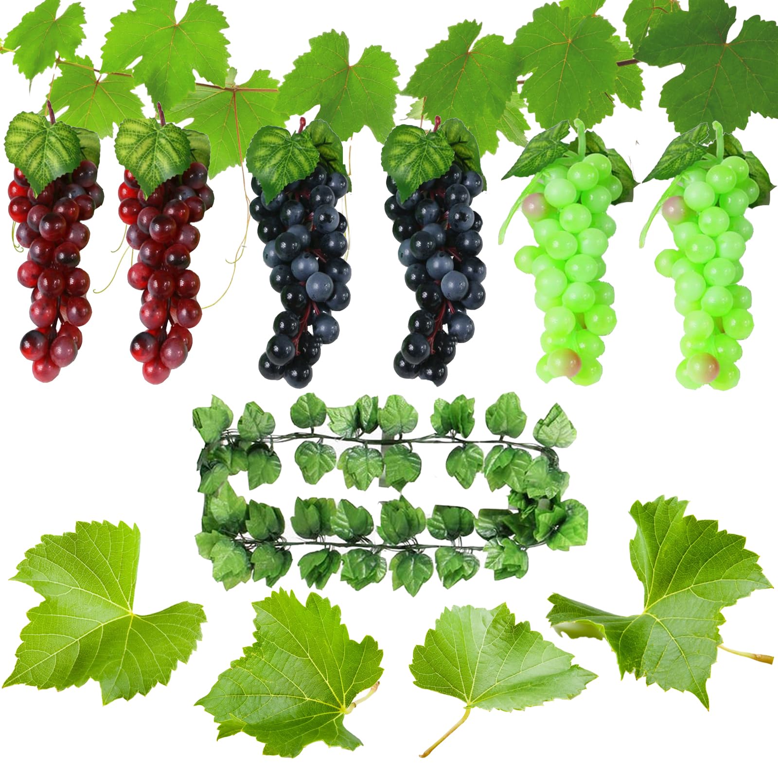 Druivenrank Clipart Kleur Druivensoorten Presenteren Het