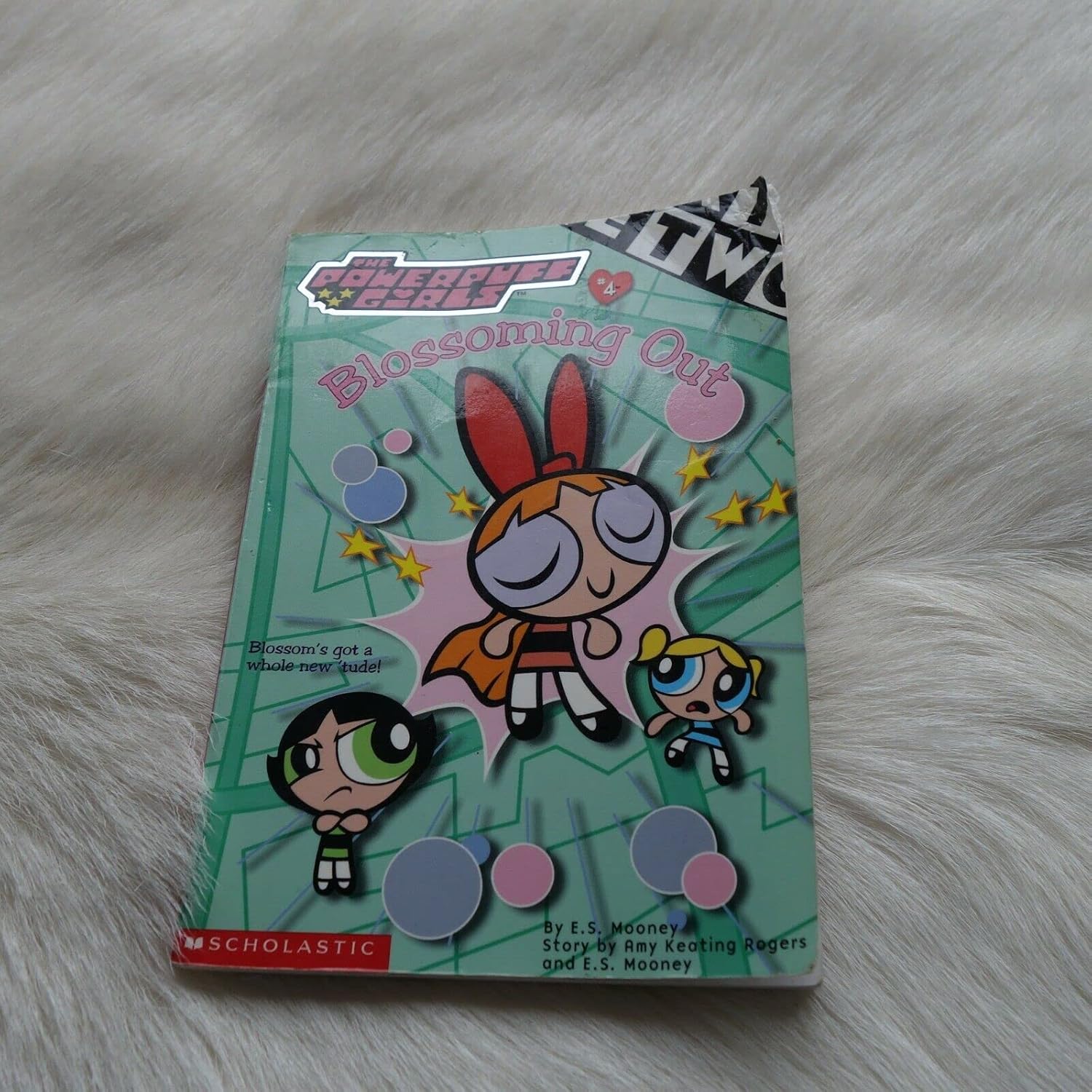 Powerpuff Girls Chapter Book #04: Blossoming Out: Mooney, E S ...