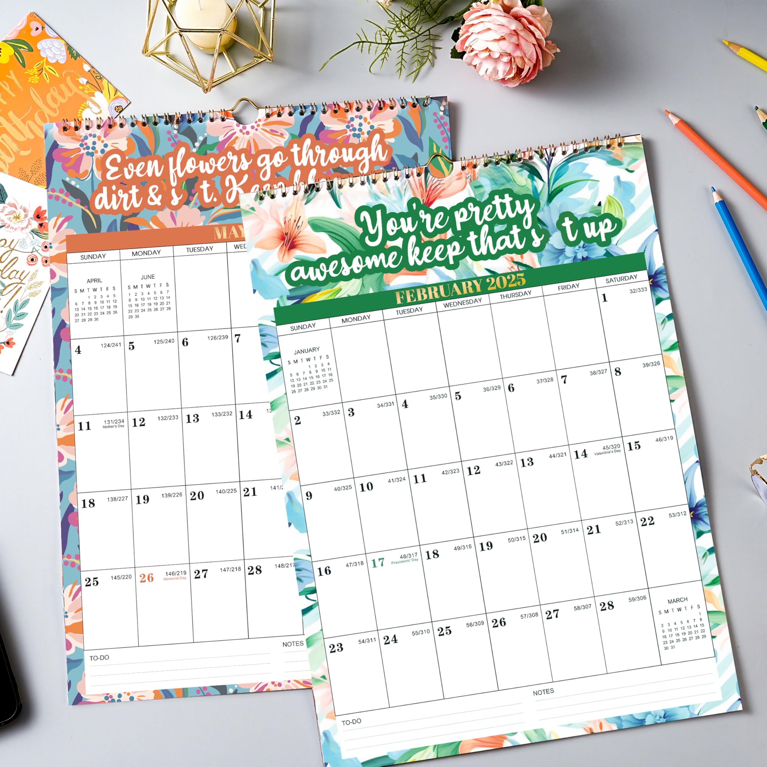 Snapklik.com : 2025 Calendar - Funny Calendar 2025 Wall Calendar, 2025 ...