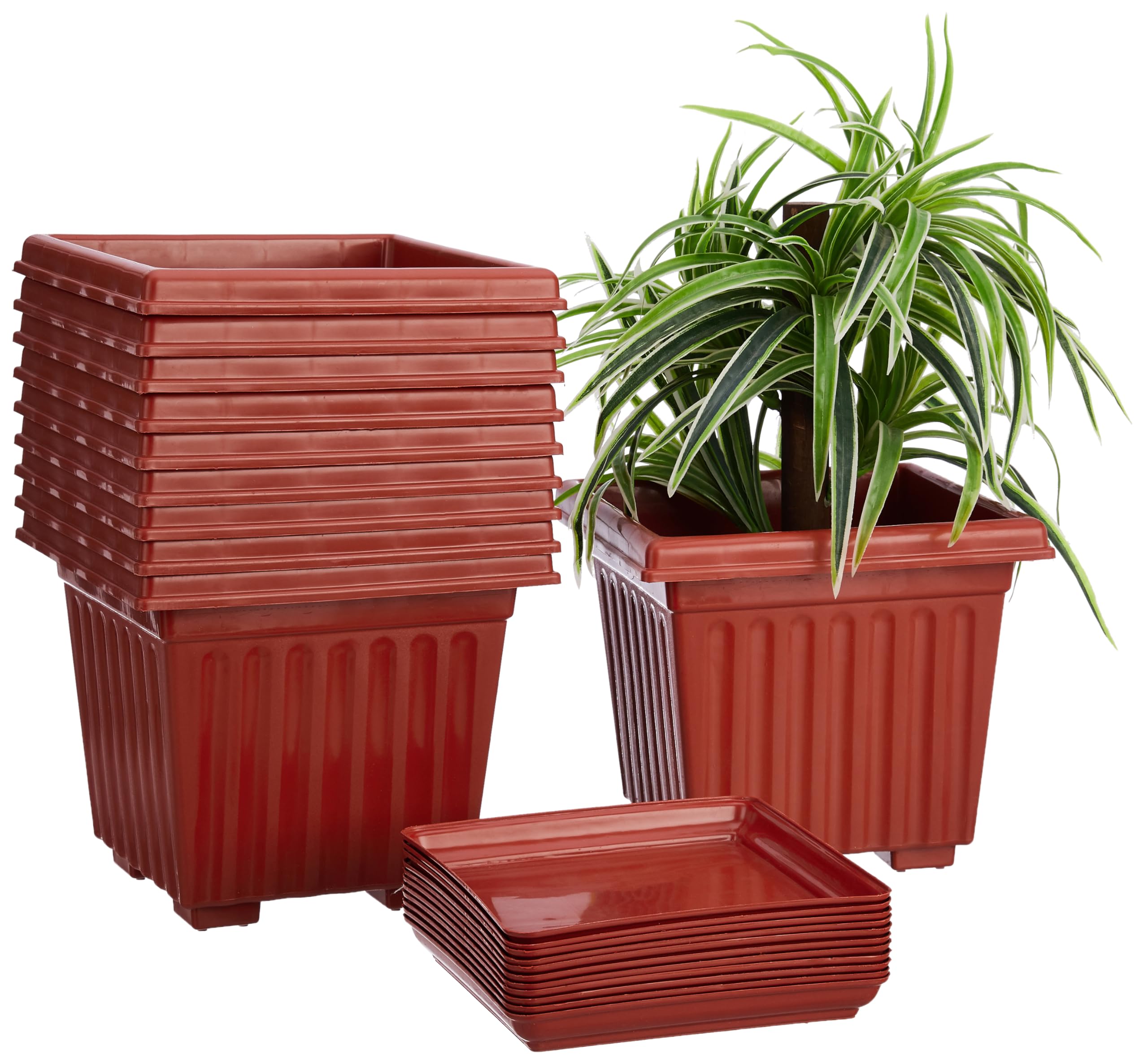 Amazon Brand - Solimo Square Pots for Plants with Bottom Tray|Indoor ...