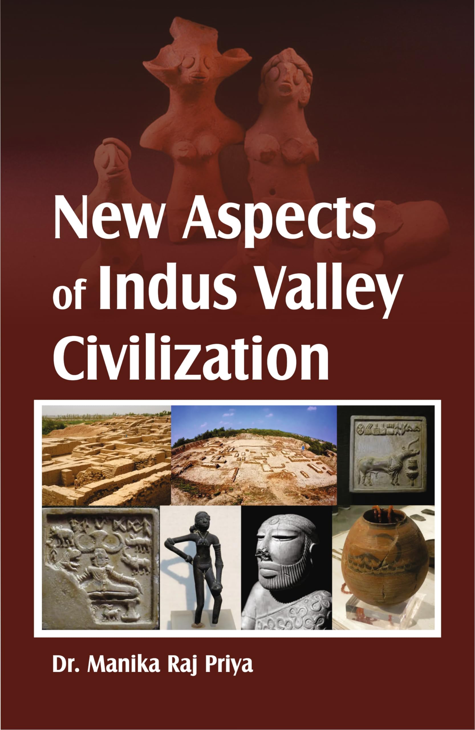 Buy New Aspects of Indus Valley Civilization Book Online at Low Prices ...