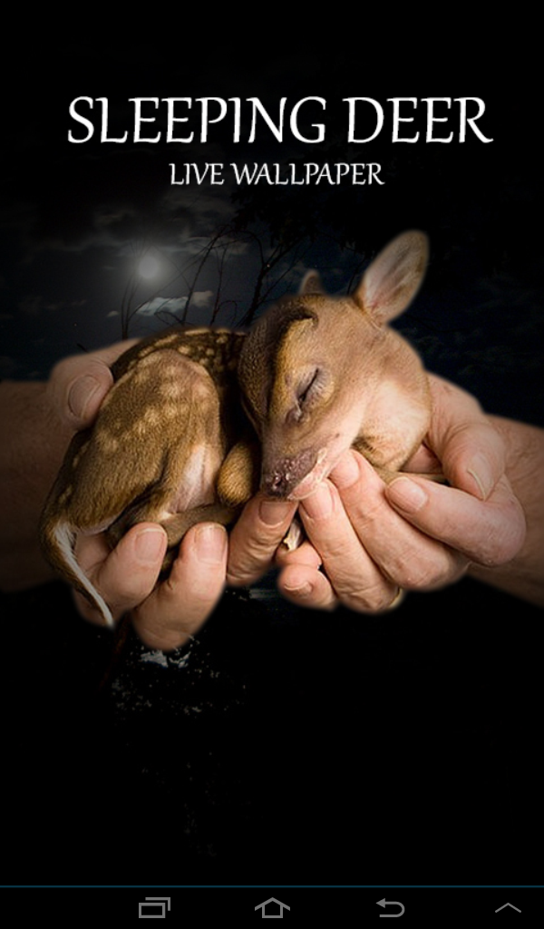 Animated Deer Live Wallpaper - App on Amazon Appstore