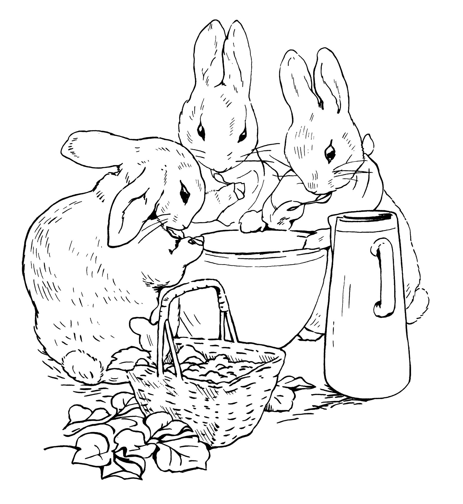 Beatrix Potter Coloring Pages