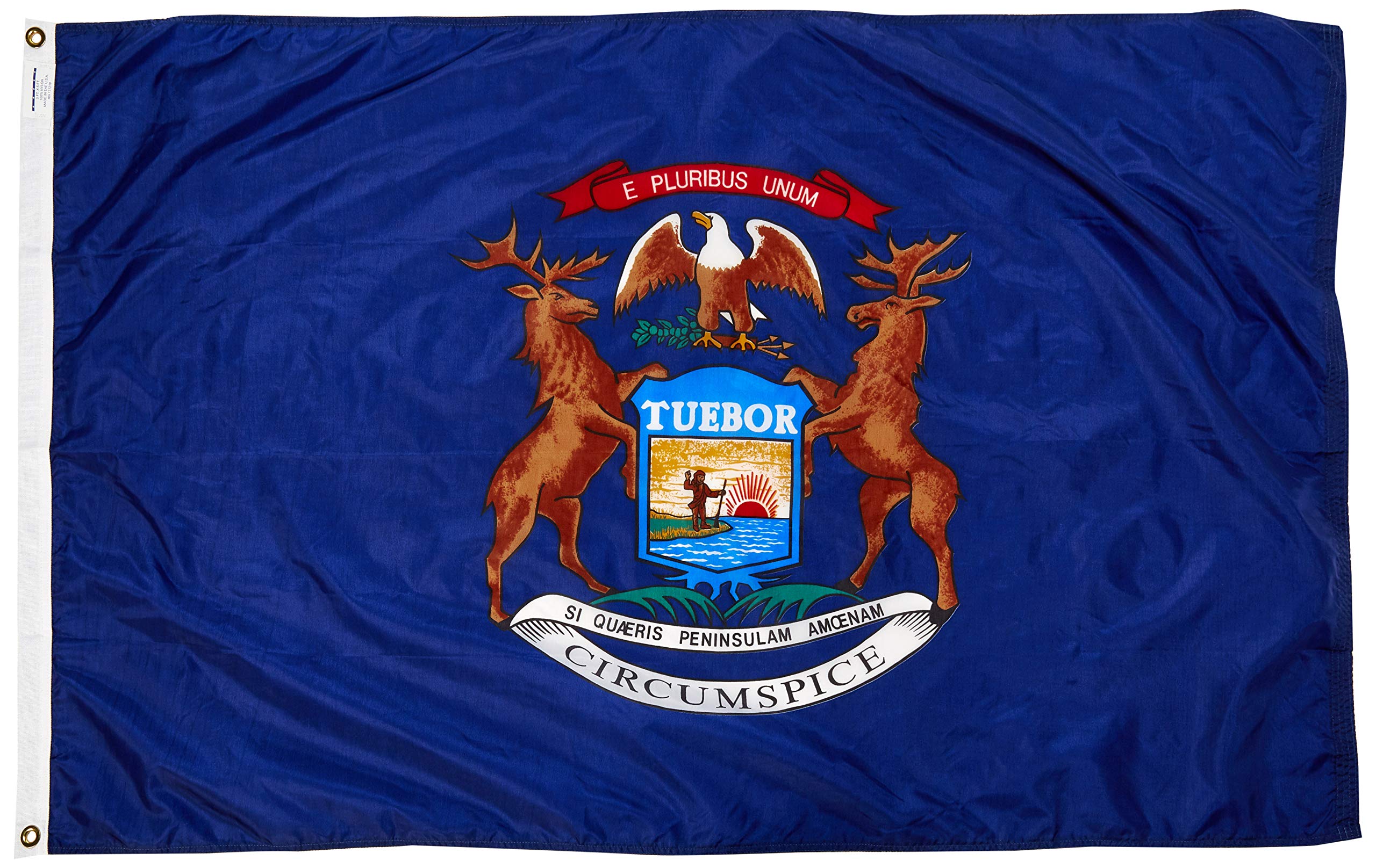 Amazon.com : New 2x3 Michigan State Flag US USA American Flags ...