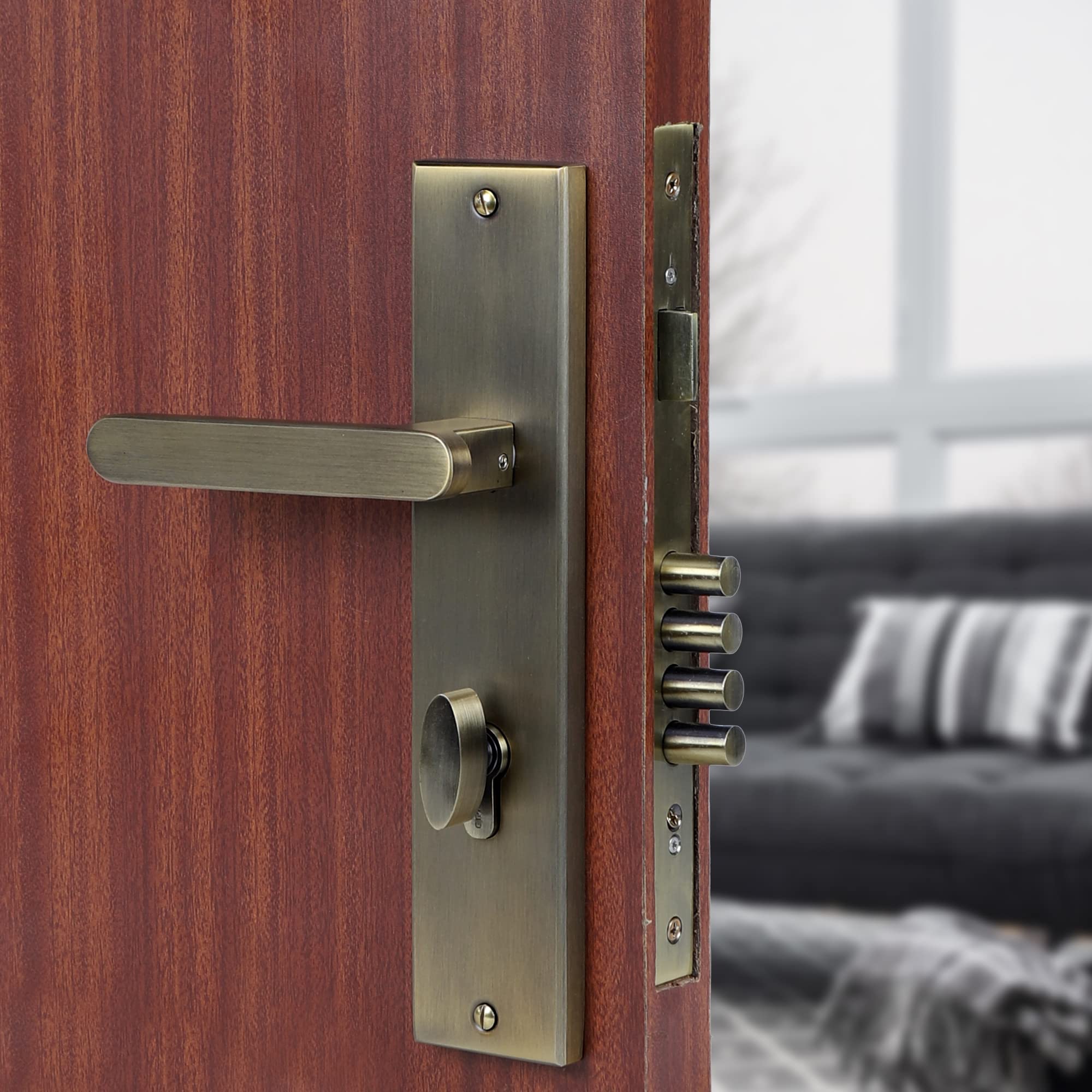 Buy Voltizi LB - 304 Premium 10 Inch Cylindrical Plate Mortise Door ...