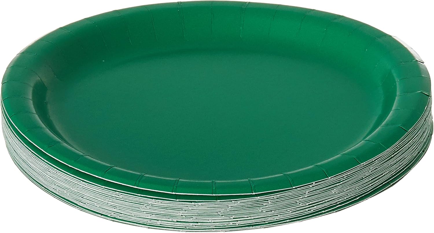 Amazon.com: Creative Converting Touch of Color Paper Lunch Plates, 24 ...