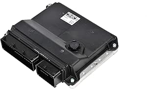 Amazon.com: GM Genuine Parts 19205376 Powertrain Control Module ...