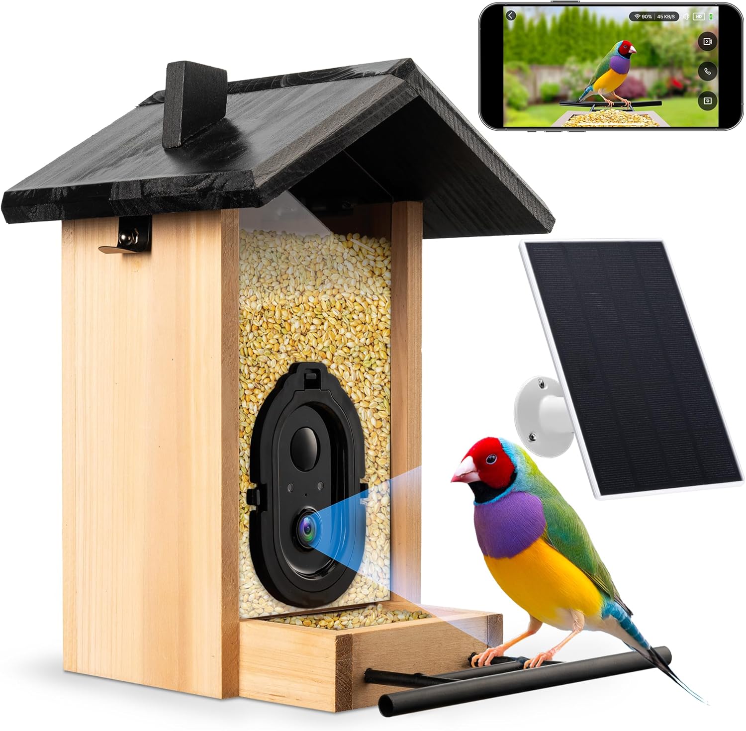 Amazon.com : Geeni BirdConnect FeatherCam – Smart Bird Feeder with ...