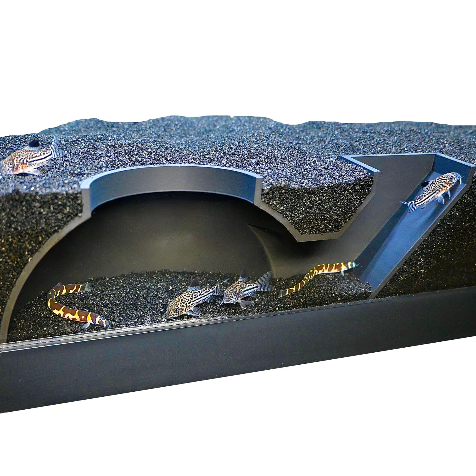 Amazon.com: Lucky Critter Fish Tank Underground Dome Tunnel | Viewing ...