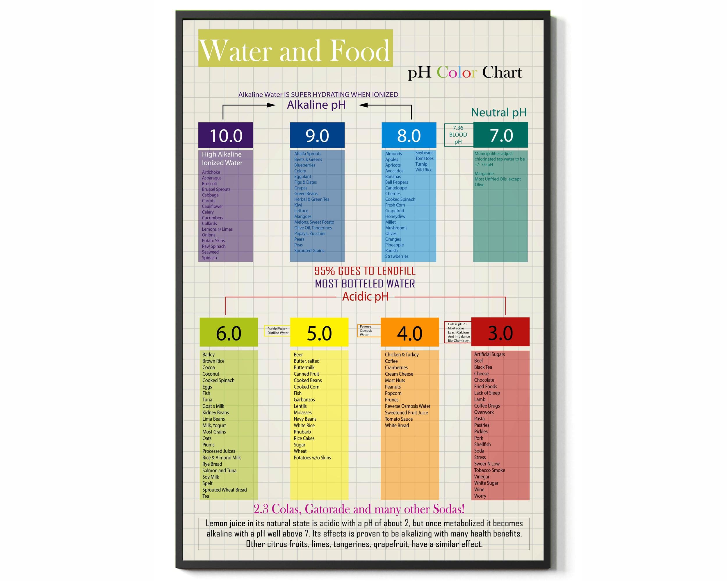 Water And Food Ph Color Chart Poster Ph Scale Wall | Desertcart INDIA