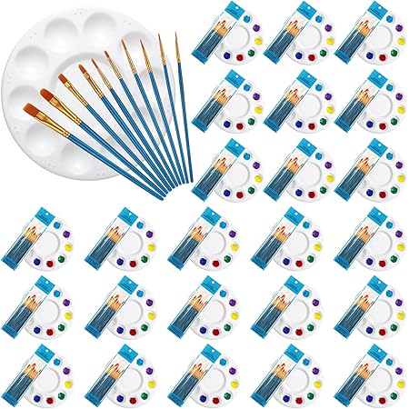 Amazon.com: 24 Sets Paint Brushes Pallete Set, 264 Pcs Painting ...