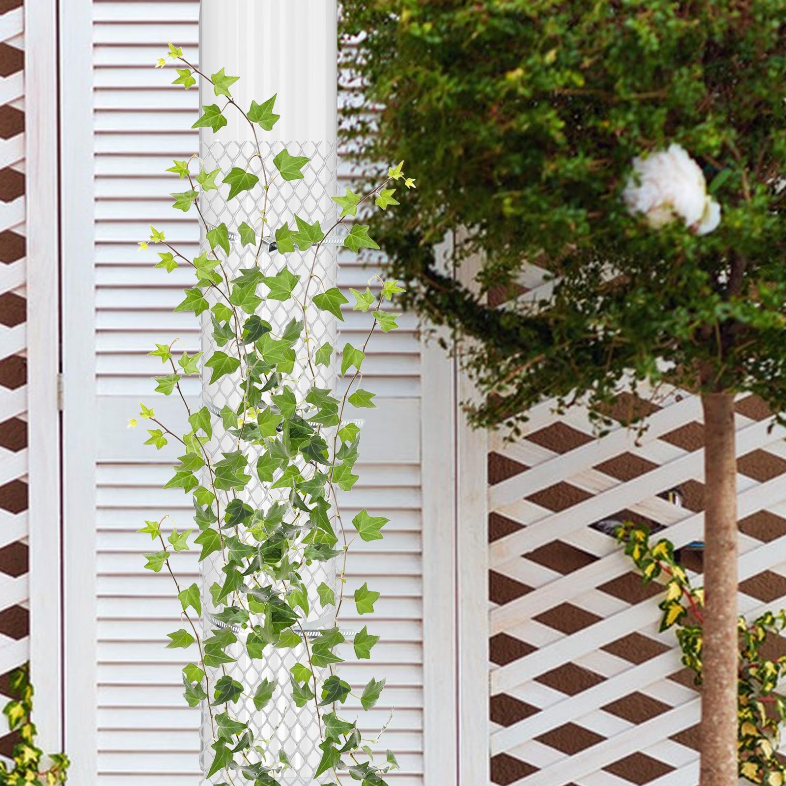 Trellis Rain Gutter Gardening Plant Garden Trellis Downspout Trellis