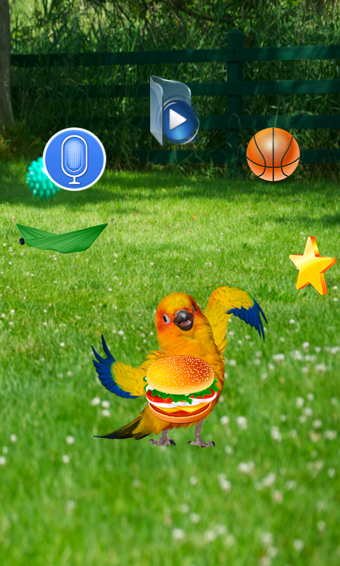 Funny Talking Parrot - App on the Amazon Appstore