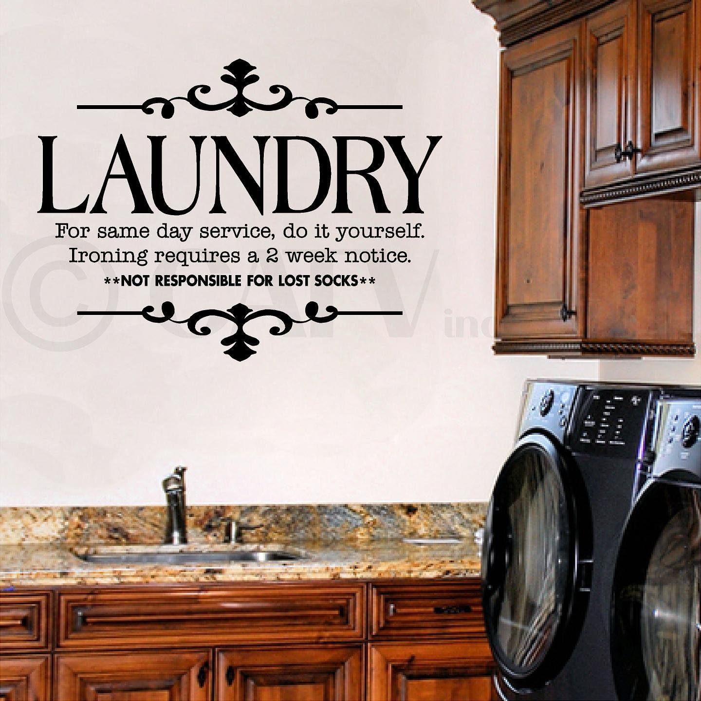 Amazon.com: Laundry For Same Day Service, Do it Yourself Ironing ...