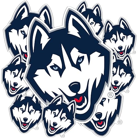 Amazon.com: University of Connecticut Sticker UConn Huskies Stickers ...