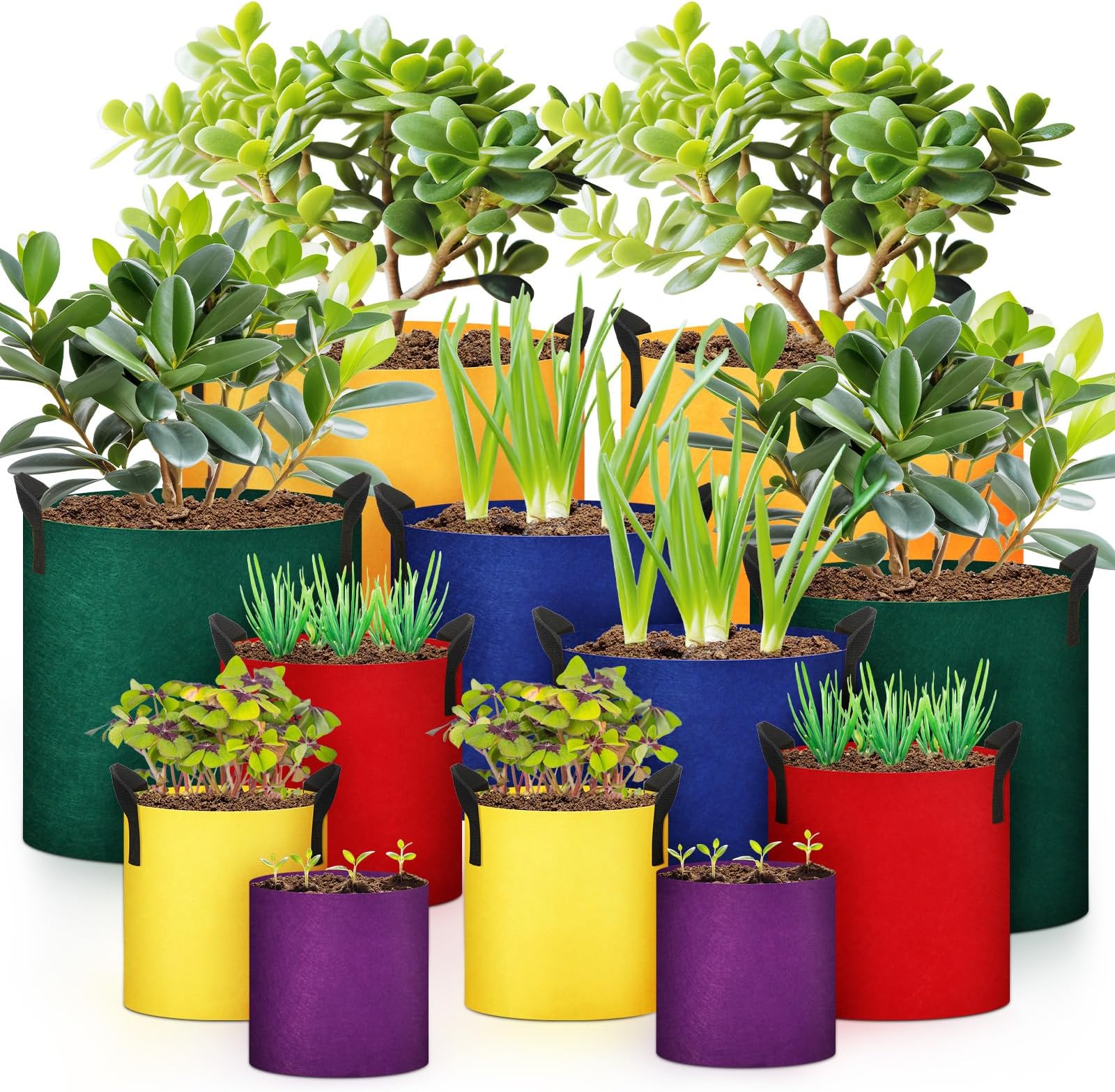 Amazon.com : FillTouch 12 Pcs Colorful Plant Grow Bags Non Woven Fabric ...